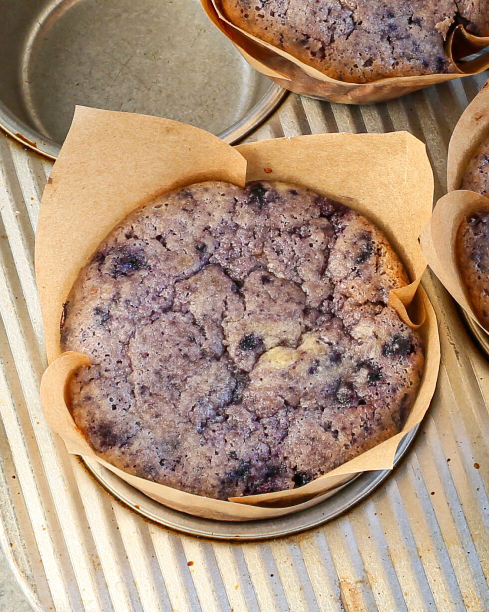 Almond Flour Blueberry-Yogurt Muffins ⋆ Star Infinite Food