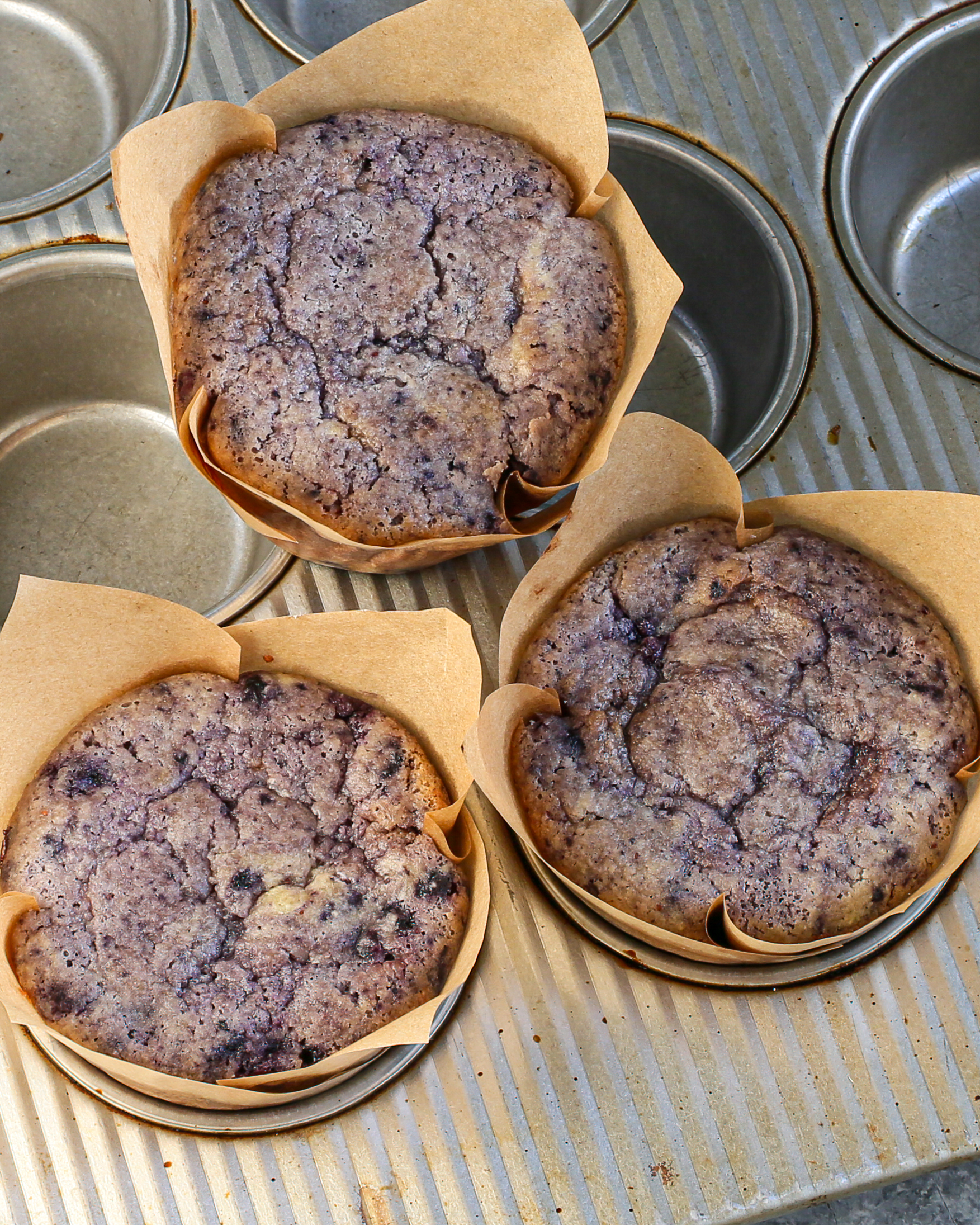 Almond Flour Blueberry-Yogurt Muffins ⋆ Star Infinite Food